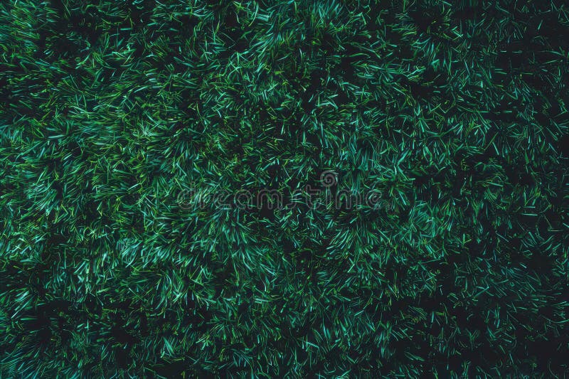 Dense Soft Grass Texture with Deep Green Color and Subtle Lighting ...
