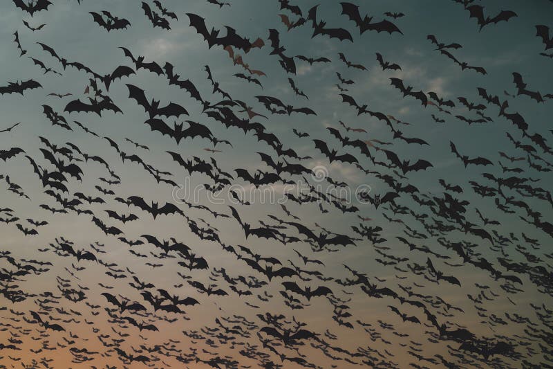 Dense Swarm of Bats Flying in Various Directions, Transparent ...