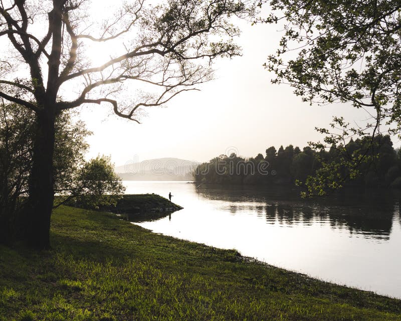 Dense Trees with the Reflection on a River and a Male Fishing on a ...