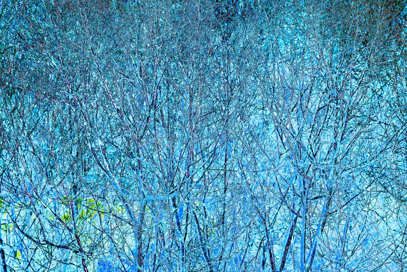 Dense Wall with Bare Branches of a Dense Bush Close-up, Spring Season ...