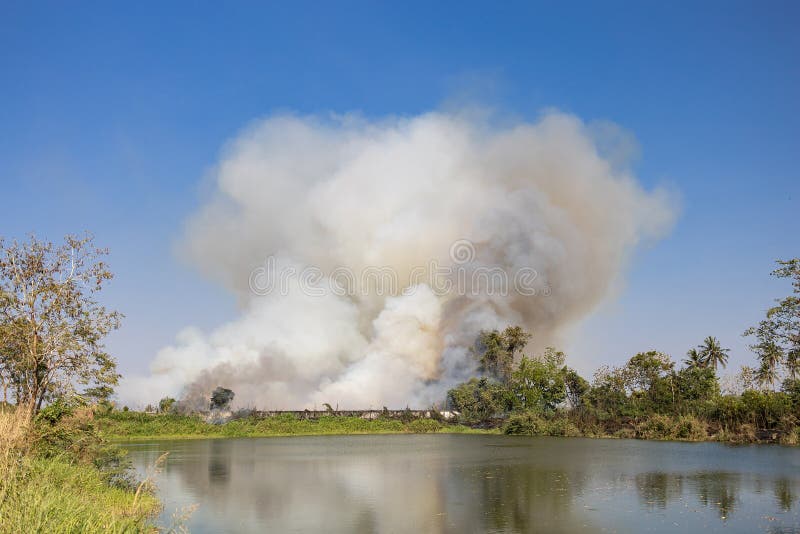 Dense White Smoke Rising from the Raging Wildfire and Blue Sky and ...