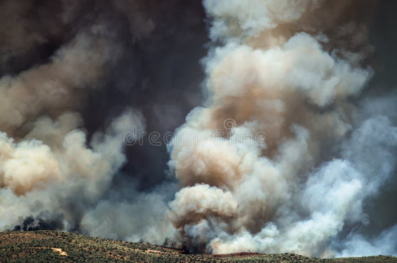 Dense White Smoke Rising from the Raging Wildfire Stock Photo - Image ...