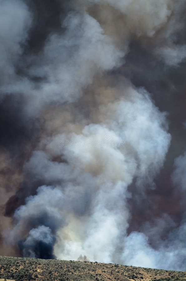 Dense White Smoke Rising from the Raging Wildfire Stock Image - Image ...