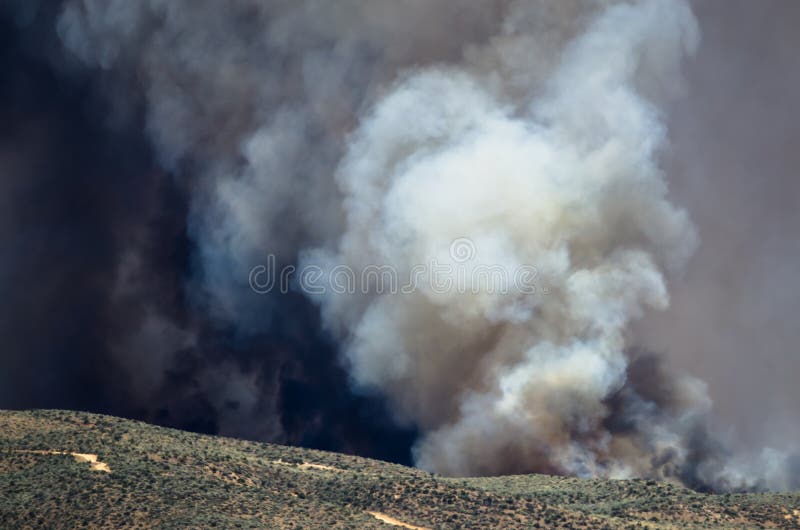Dense White Smoke Rising from the Raging Wildfire Stock Image - Image ...