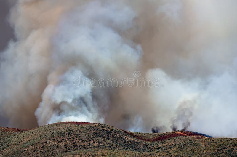 Dense White Smoke Rising from the Raging Wildfire Stock Photo - Image ...