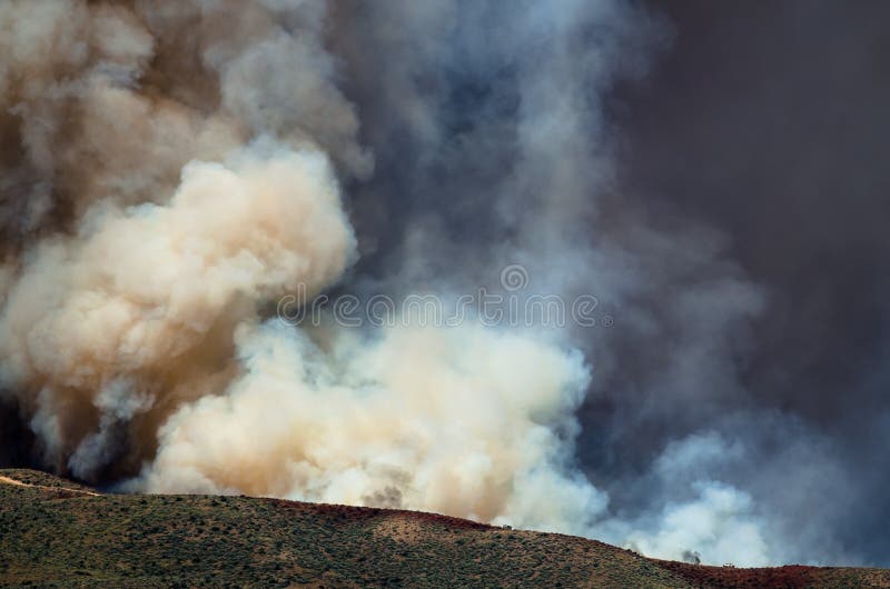 Dense White Smoke Rising from the Raging Wildfire Stock Photo - Image ...