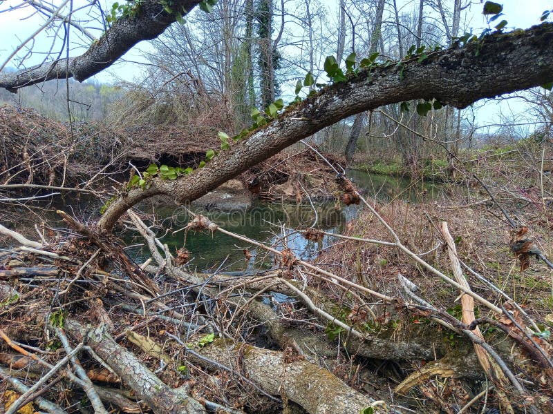 Unmanicured Landscape Stock Photos - Free & Royalty-Free Stock Photos ...