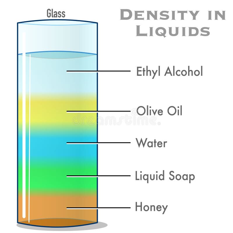 Density of Liquids. Laboratory Experiment Stock Vector - Illustration ... Density of Liquids. Laboratory Experiment Stock Vector - Illustration ...