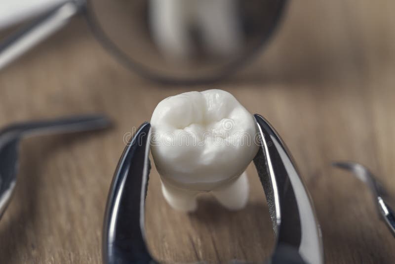 Dent Dans Les Pinces Sur La Table Photo stock - Image du faux, implant ...