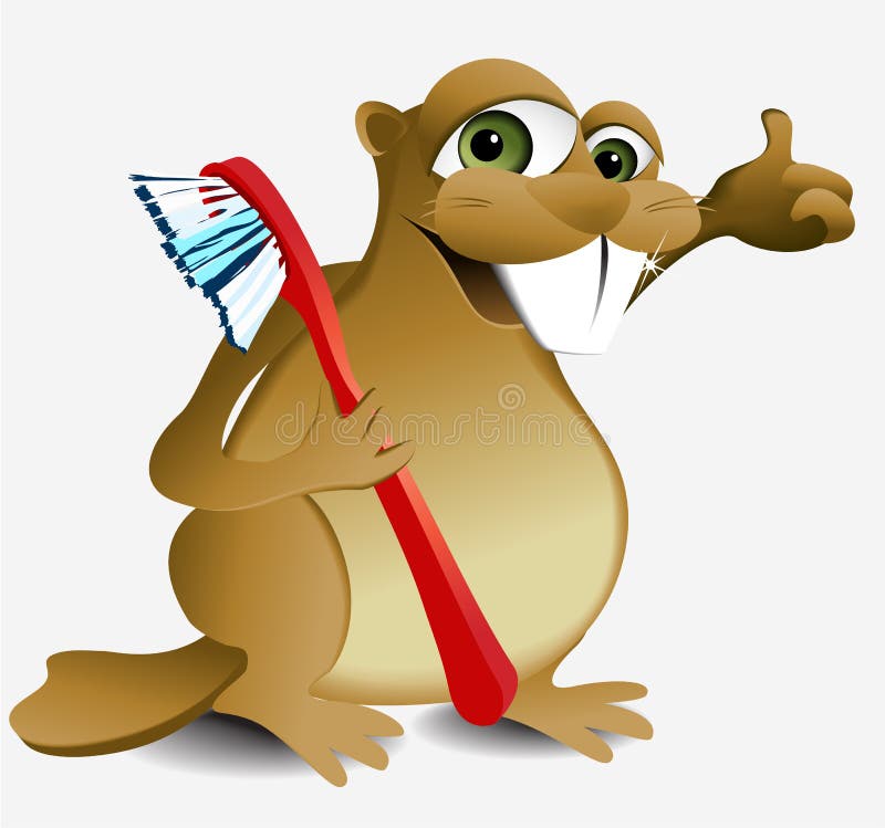 Beaver cleaning teeth stock vector. Illustration of stomatology - 26283282
