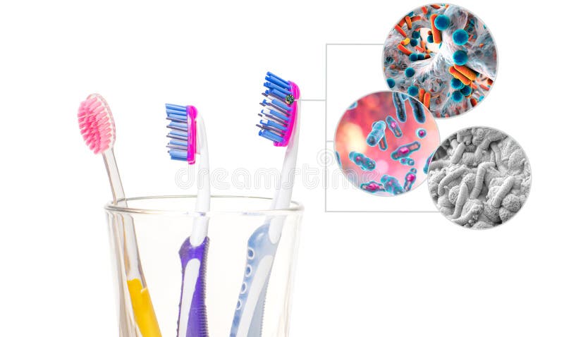 Dental Hygiene. Tooth Brushes with Bacteria in Glass Stock Photo ...