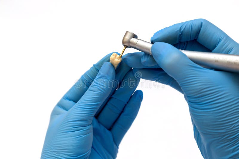 Dental Instruments. Dentures and Medical Tools Stock Photo - Image of ...