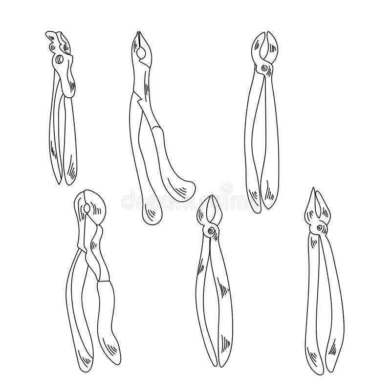 Dental Instruments for Tooth Extraction, Extraction Forceps for ...