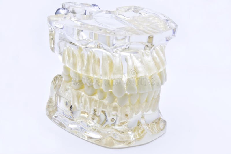 Plastic Case with Invisible Transparent Orthodontic Retainers ...