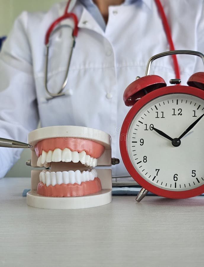Dental Model and Clock are Displayed on the Table in a Dental Clinic ...