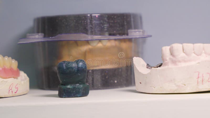 Dental Models Displayed for Study and Practice Stock Video - Video of ...