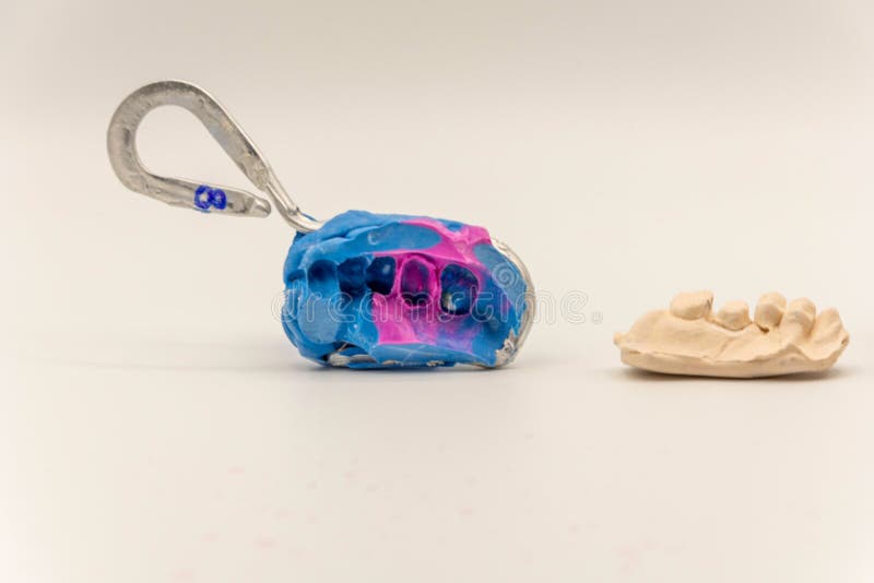 Dental mold imprint stock photo. Image of closeup, human - 239520598