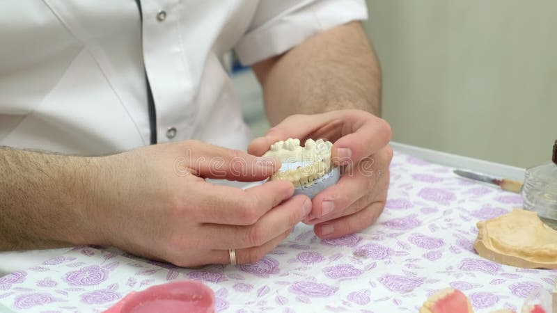 Dental Technician Looking at Plaster Cast of Jaws while Making Denture ...