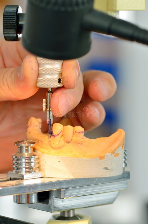 Dental Technician Measuring Dentures Stock Image - Image of veneer ...
