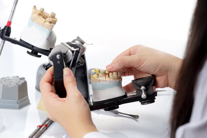 Dental Technician Working with Articulator in Dental Laboratory Stock ...