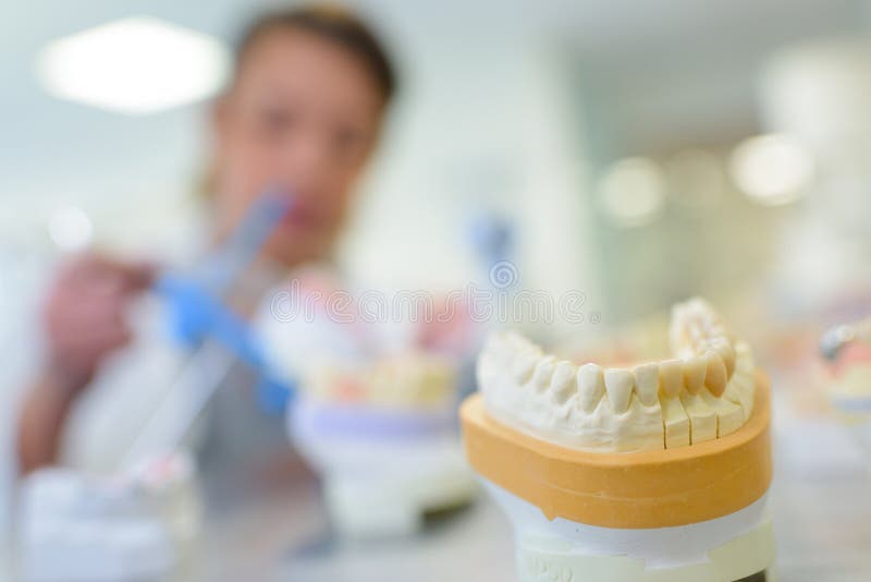 Dental Technician Working with Dental Denture Stock Image - Image of ...