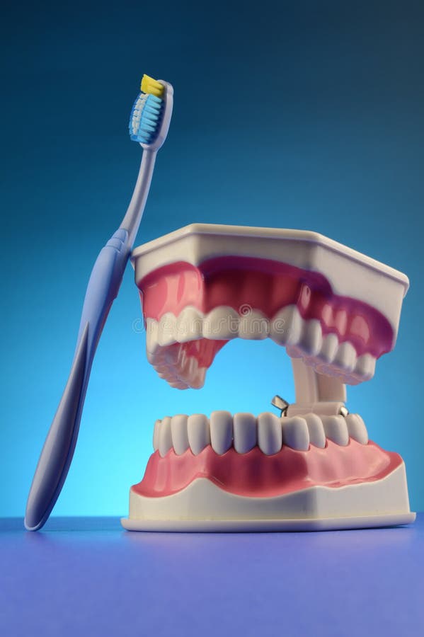 Dental Teeth Display stock image. Image of background - 211103577