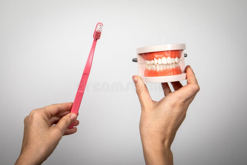 Dental Teeth and Gums Pattern with Pink Tooth Brush in Hands Stock ...