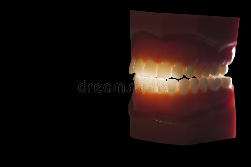 Dental Teeth Mould Backlight Isolated on Black Stock Image - Image of ...