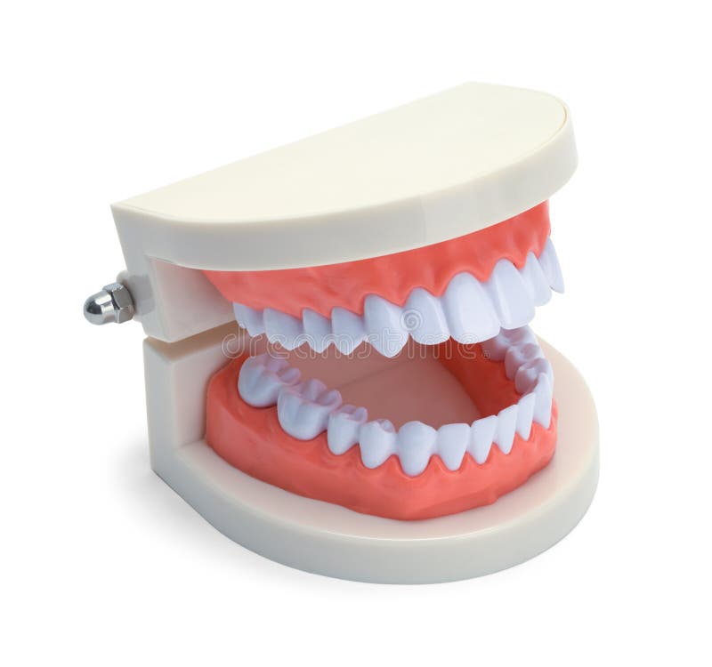 Dental Teeth Open stock image. Image of health, dentist - 92477339