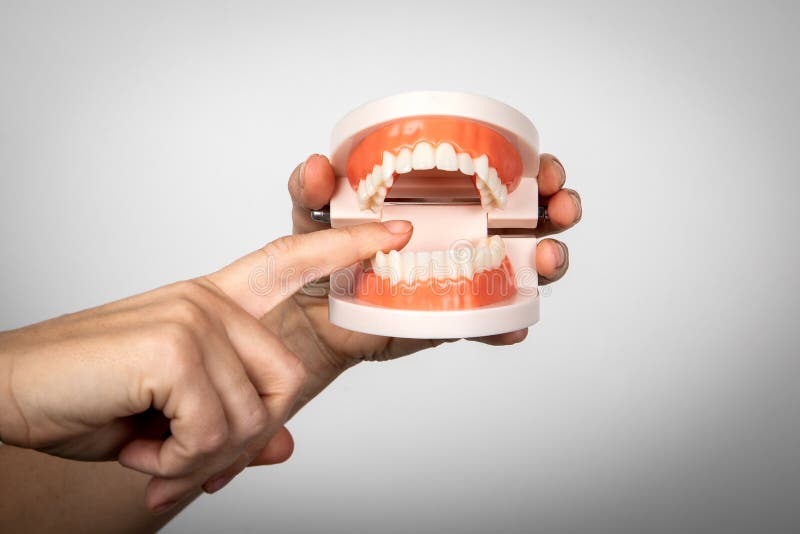 Dental Teeth Pattern, Finger between Teeth, Attempt To Bite Stock Image ...