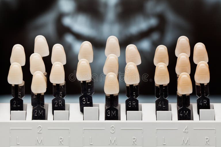 Pan Tooth Teeth Stock Photos - Free & Royalty-Free Stock Photos from ...