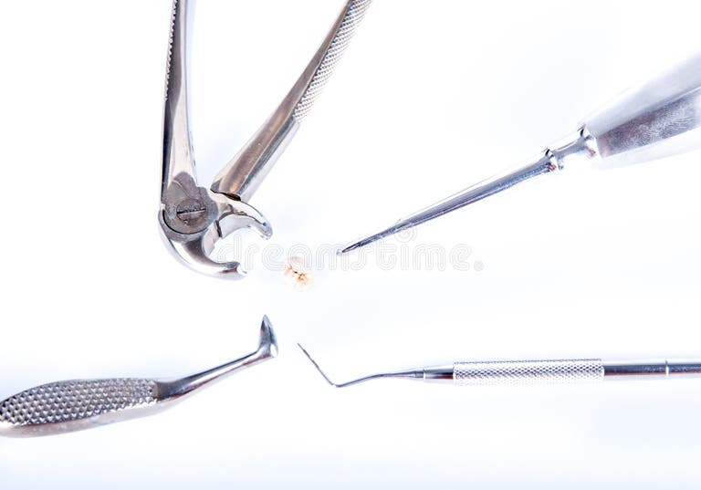 Dental Tools Around Real Extracted Tooth, with Caries Stock Image ...