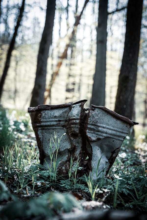Dented Bucket in the Forest Stock Photo - Image of pail, anemone: 183930316