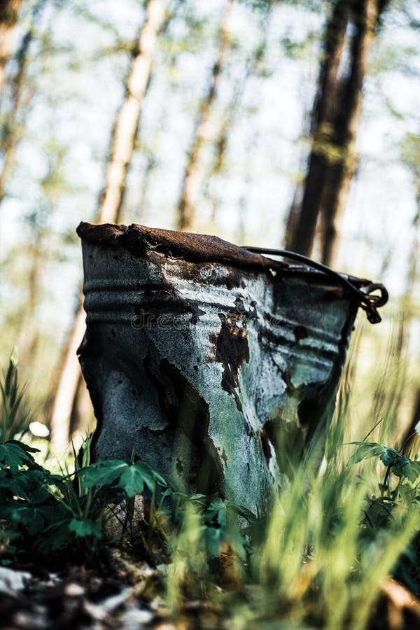 Dented Bucket in the Forest Stock Image - Image of grey, retro: 183930429