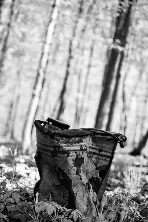 Dented Bucket in the Forest Stock Photo - Image of metal, retro: 183930356