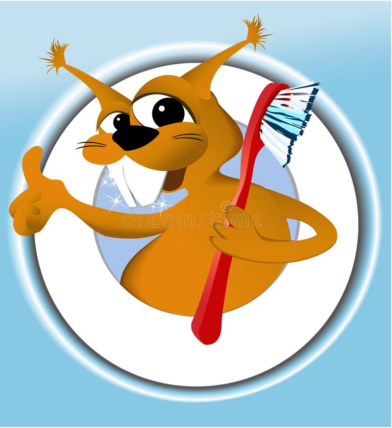 Dentes Da Limpeza Do Esquilo Ilustração do Vetor - Ilustração de ...