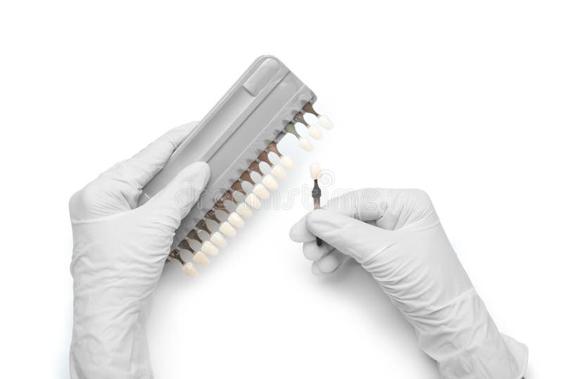 Dentist with Color Samples of Teeth on White Background Stock Image ...