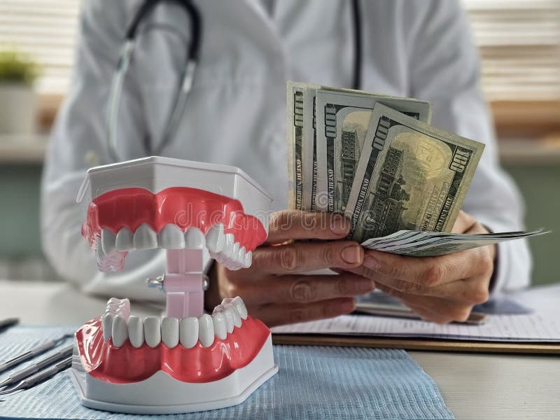 Dentist Counting Cash while Showcasing Dental Model Stock Image - Image ...