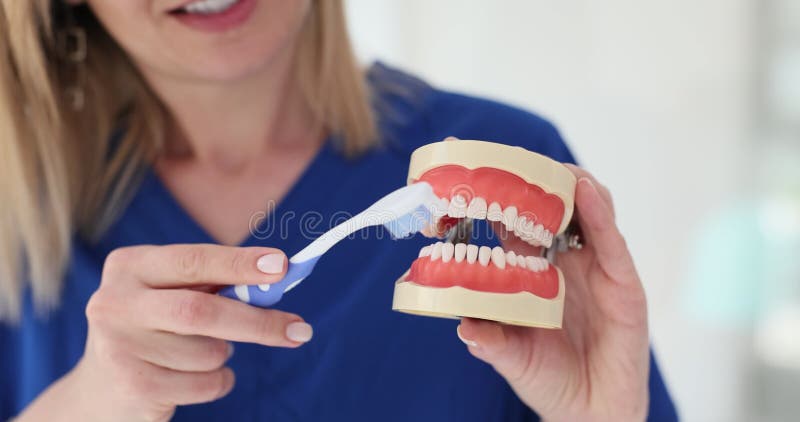 Dentist Demonstrates Proper Technique for Brushing Teeth Stock Video ...