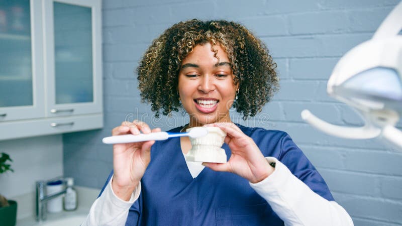 Dentist Demonstrating Toothbrushing Technique with a Dental Model in a ...