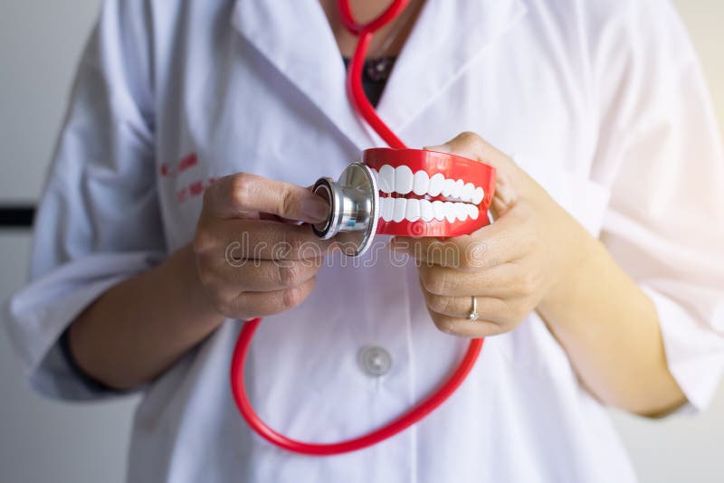 Dentist Diagnose Plastic Teeth Models with Stethoscope Stock Image ...