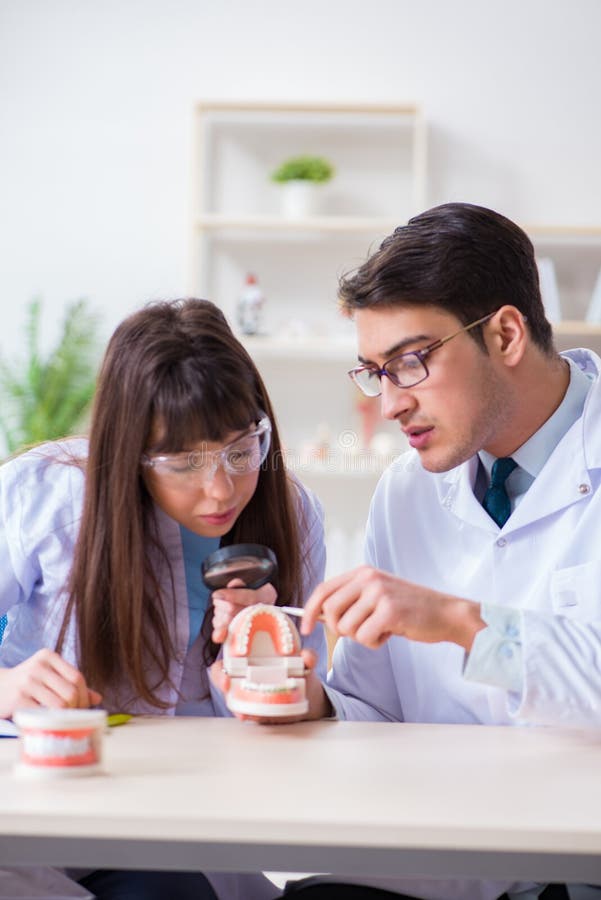 The Dentist Explaining Student Tooth Structure Stock Photo - Image of ...