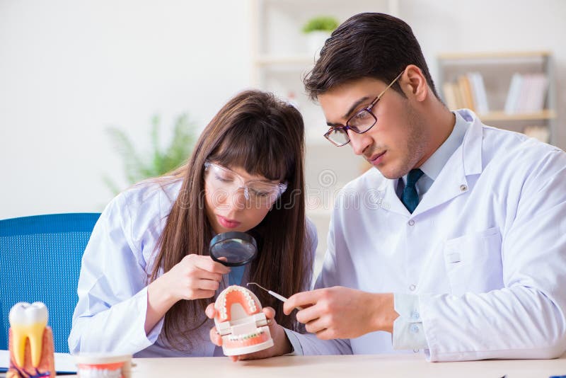 The Dentist Explaining Student Tooth Structure Stock Photo - Image of ...