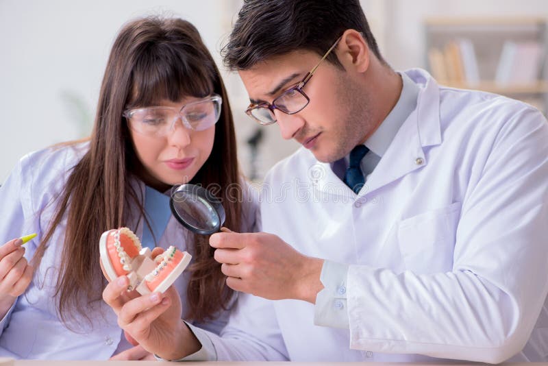 The Dentist Explaining Student Tooth Structure Stock Photo - Image of ...