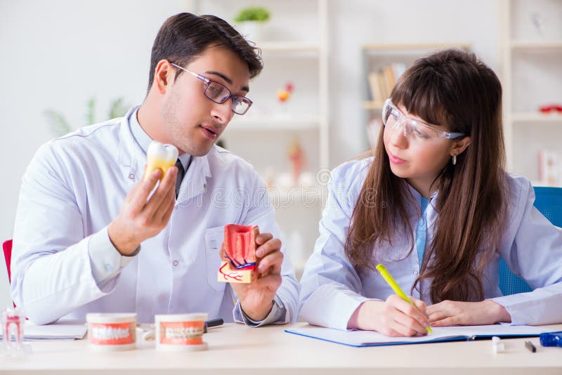 The Dentist Explaining Student Tooth Structure Stock Photo - Image of ...