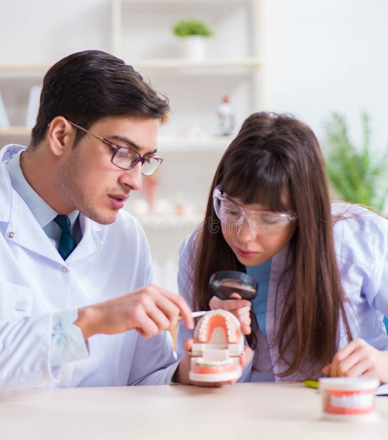 Dentist Explaining Student Tooth Structure Stock Photo - Image of ...