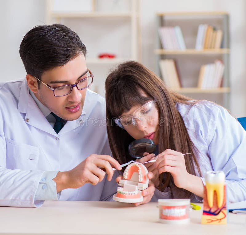 Dentist Explaining Student Tooth Structure Stock Image - Image of ...