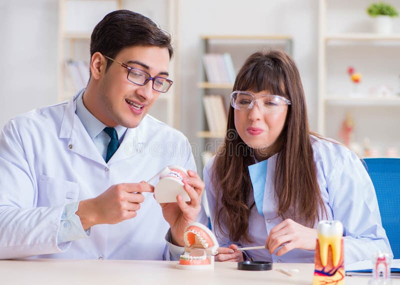 Dentist Explaining Student Tooth Structure Stock Photo - Image of ...