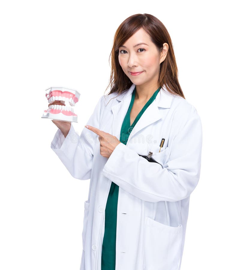 Dentist Point To Lower Tooth. Dental Knowledge Stock Photo - Image of ...