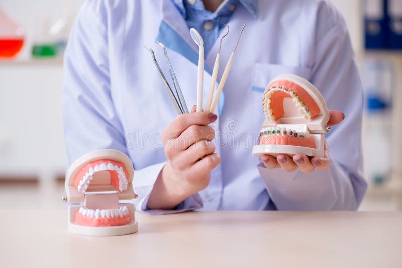 The Dentist Practicing Work on Tooth Model Stock Image - Image of molar ...